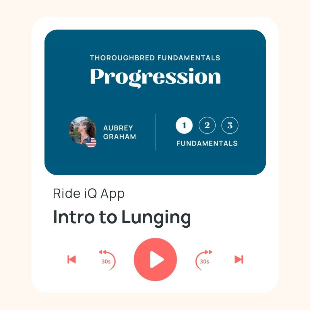 Retraining an OTTB: 5 Essential Tips to Remember | Ride iQ